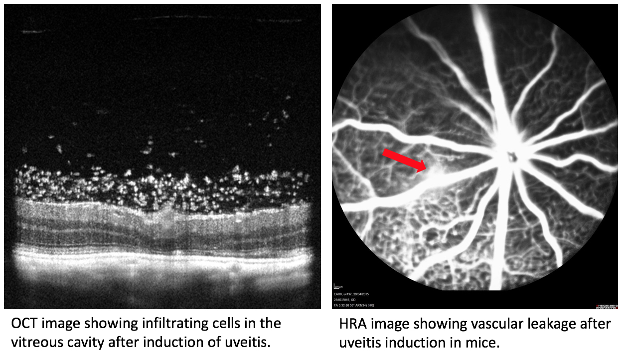 Equipment | Vision Core Leuven